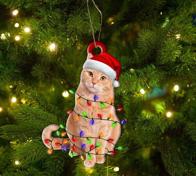 Christmas Lights Cat