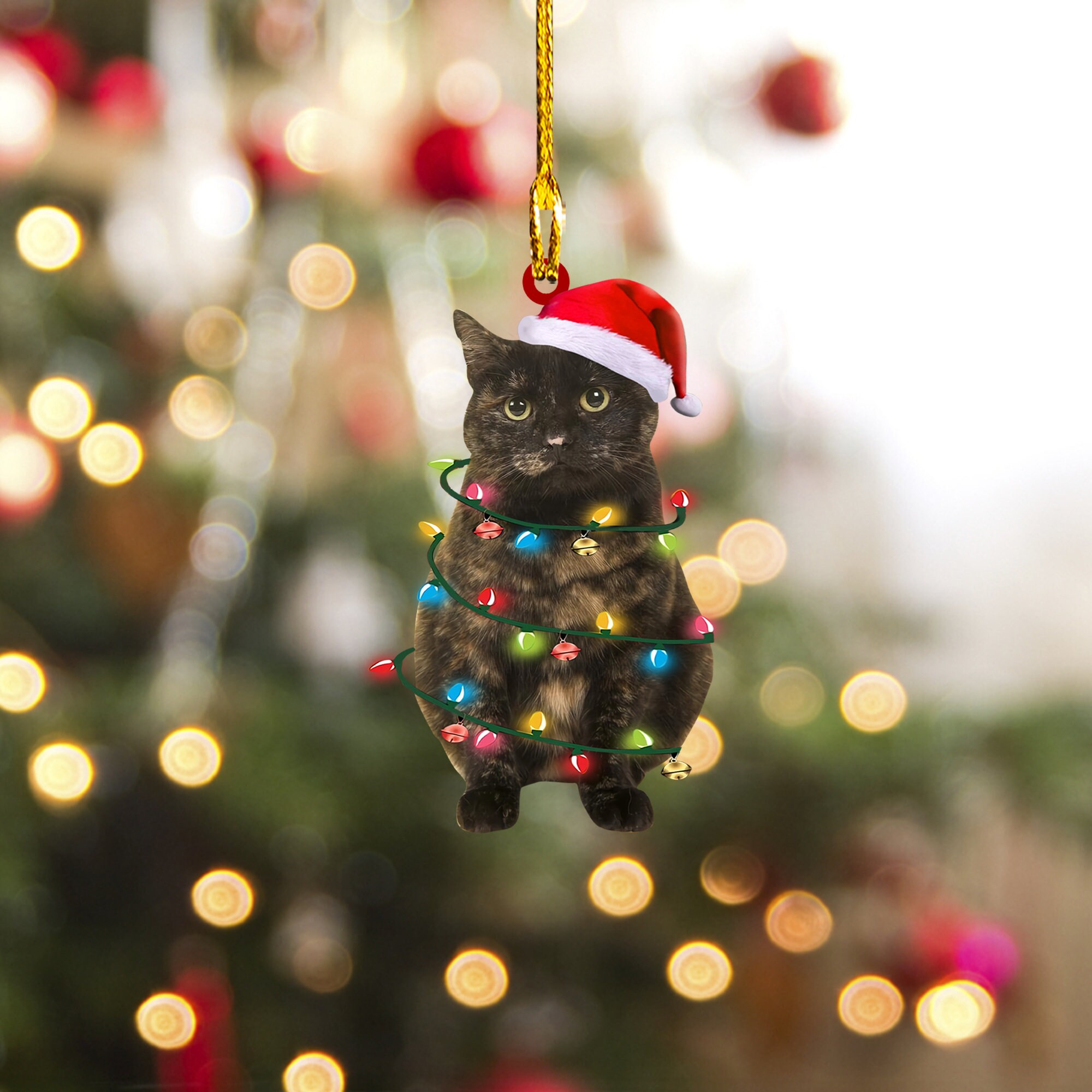 Christmas Lights Cat