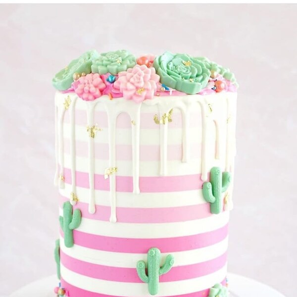 Succulent Party Decorations - Etsy