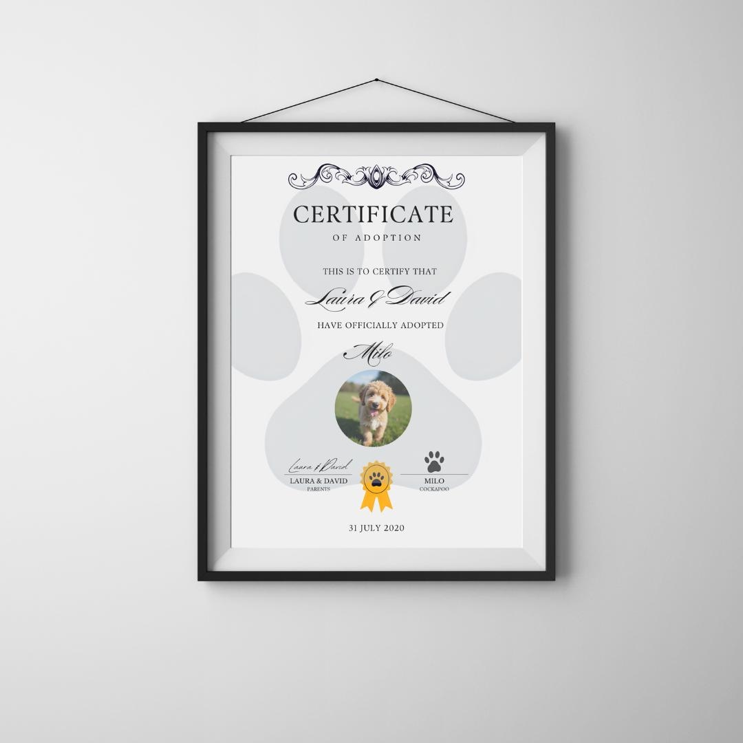 Personalised Pet Adoption Certificate: Custom Dog or Cat Gotcha Day ...
