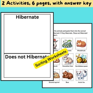 Hibernation Craft and Sorting Activities | Hibernating Bear | Animals ...