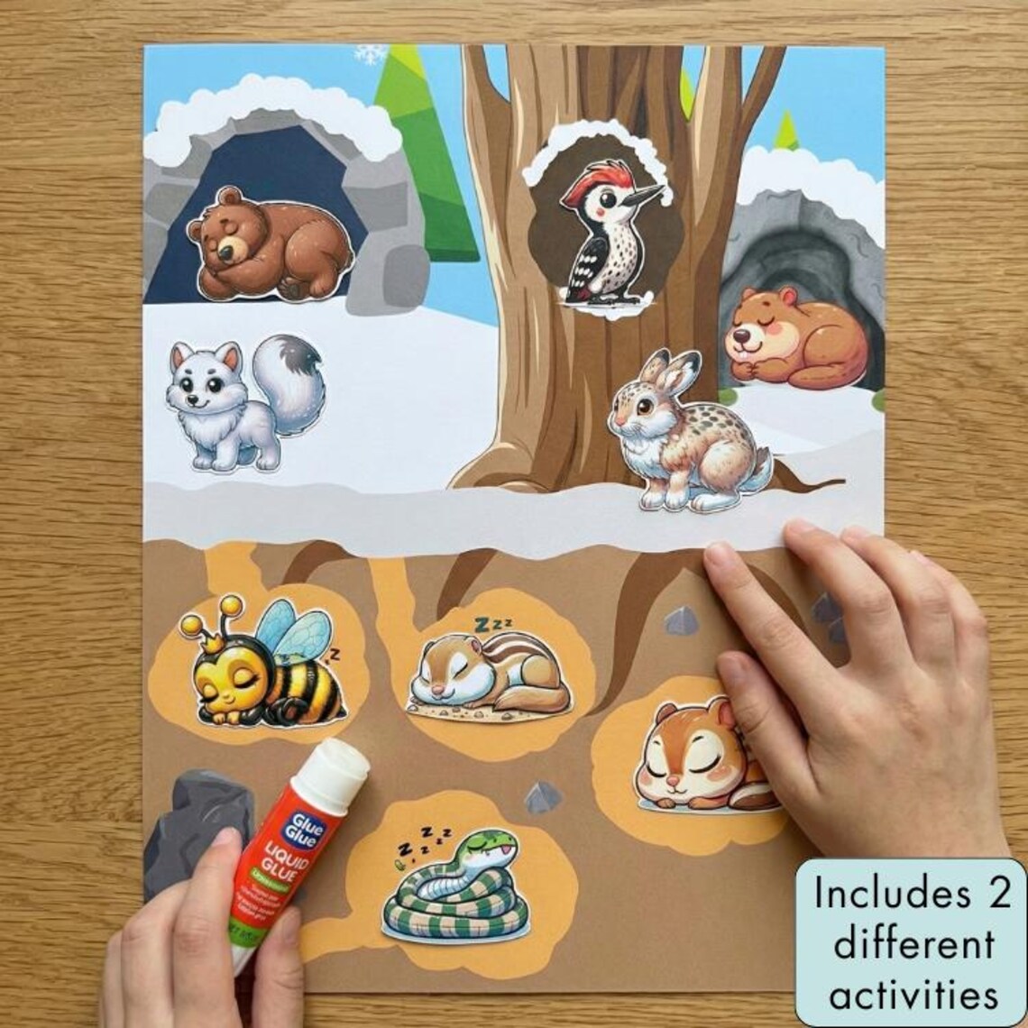 Hibernation Craft and Sorting Activities | Hibernating Bear | Animals ...