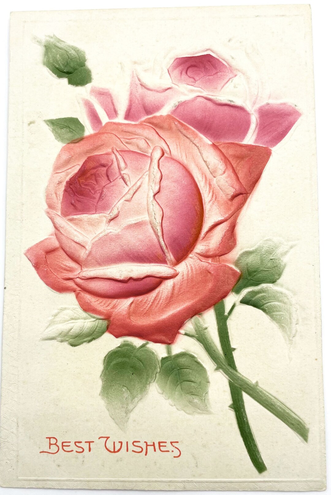 Antique Edwardian Embossed Rose Postcard - Etsy