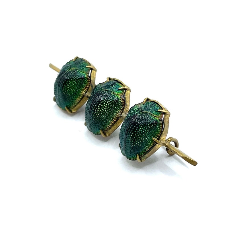 Antique Victorian Natural Scarab Bar Pin - Etsy