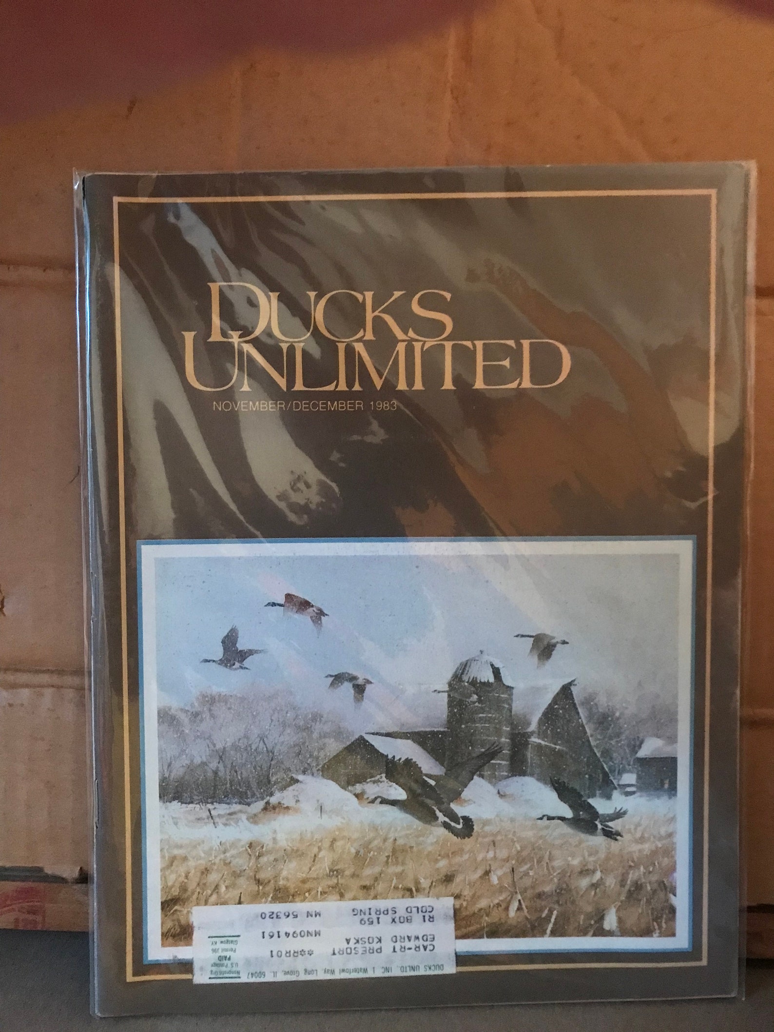 Vtg Ducks Unlimited Magazine 1980’s/you CHOOSE - Etsy