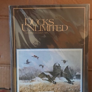 Vtg Ducks Unlimited Magazine 1980’s/you CHOOSE - Etsy