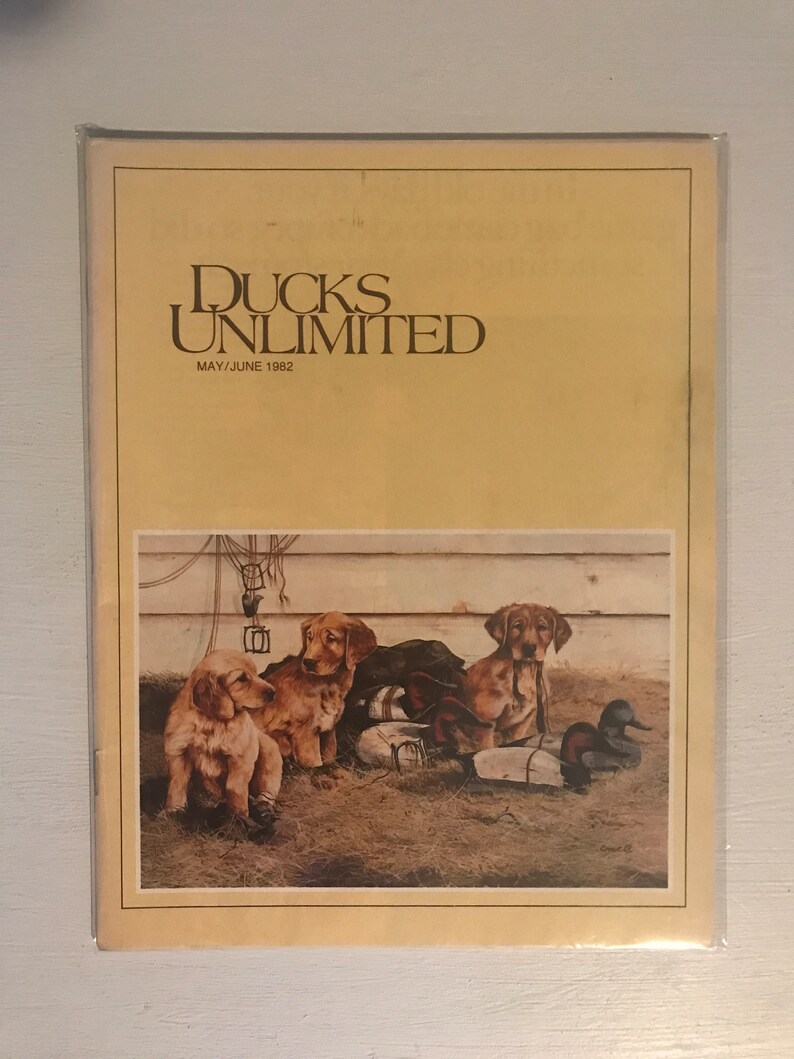 Vtg Ducks Unlimited Magazine 1980’s/you CHOOSE - Etsy
