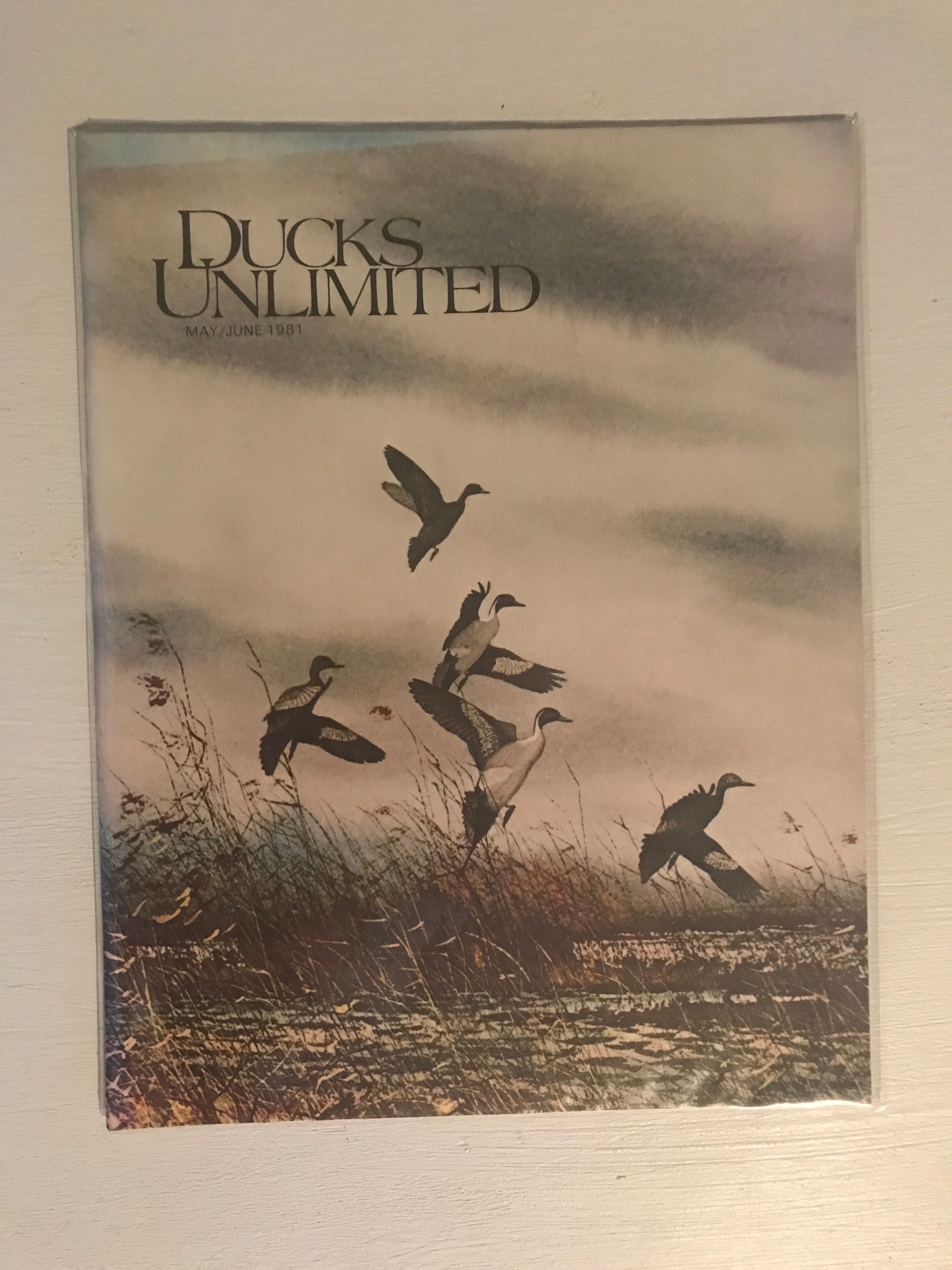 Vtg Ducks Unlimited Magazine 1980’s/you CHOOSE - Etsy