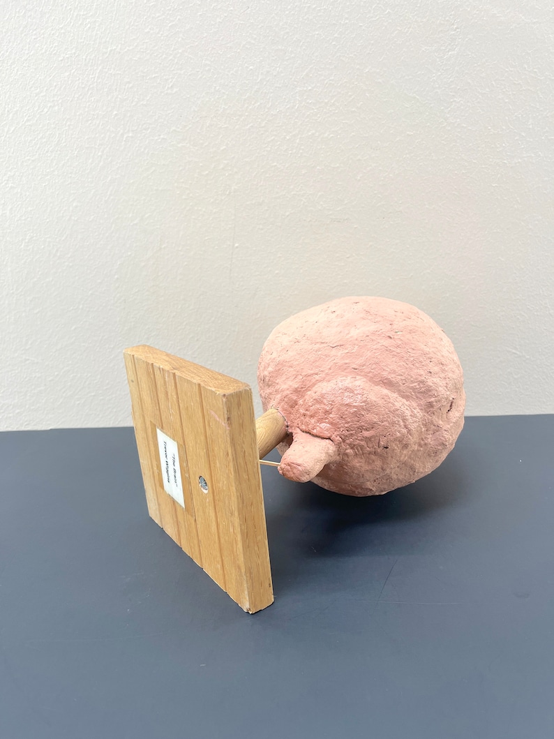 Vintage Papier-mâché Brain Unique Science Anatomy Home Decor With ...