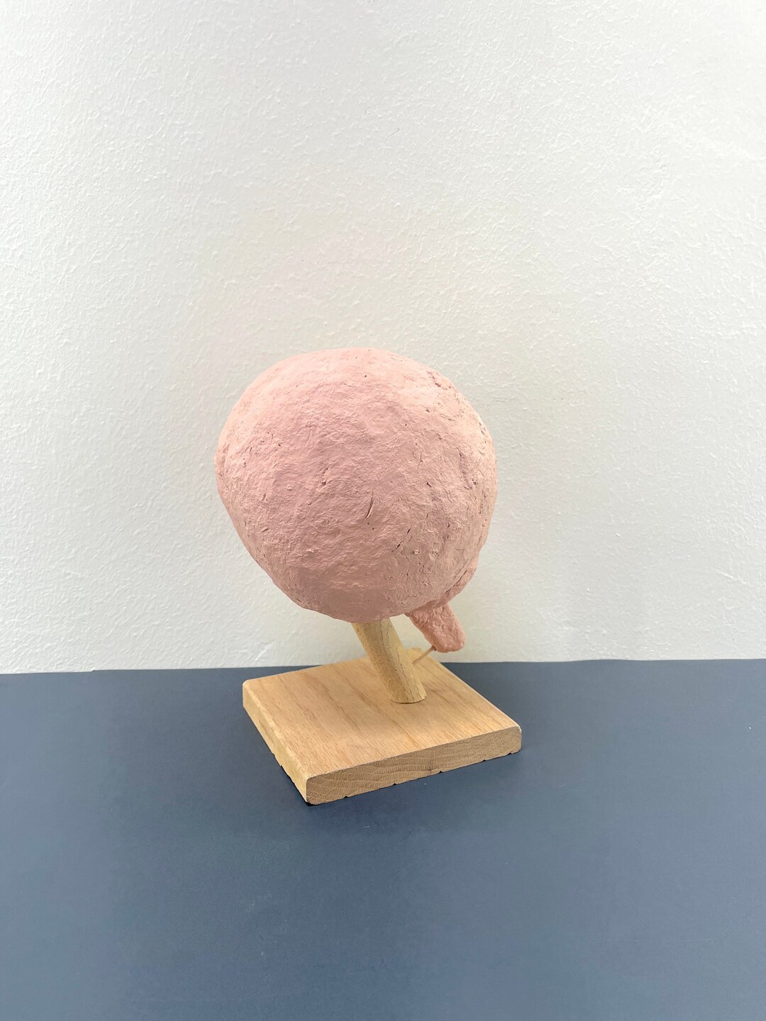 Vintage Papier-mâché Brain Unique Science Anatomy Home Decor With ...