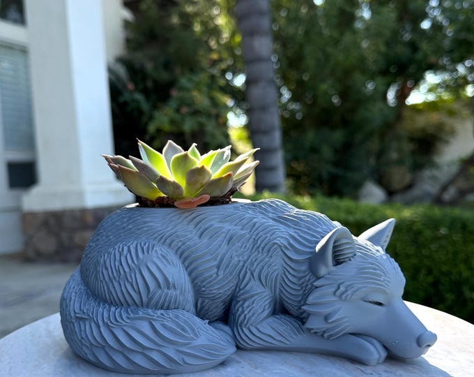 Sleeping Wolf Succulent Planter Pot – Animal Lover Gift | Plant Home ...