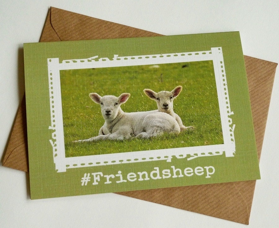 Pack of 12 Cute Irish Sheep Cards - Funny Greeting Card From Ireland - Etsy