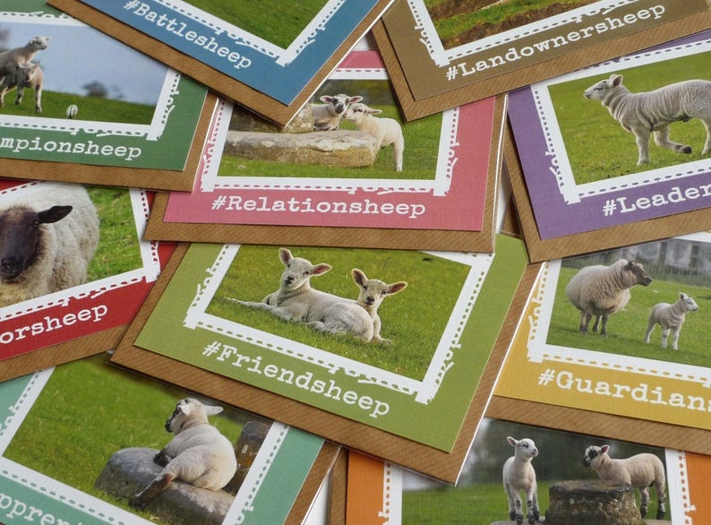 Pack of 12 Cute Irish Sheep Cards Funny Greeting Card From | Etsy