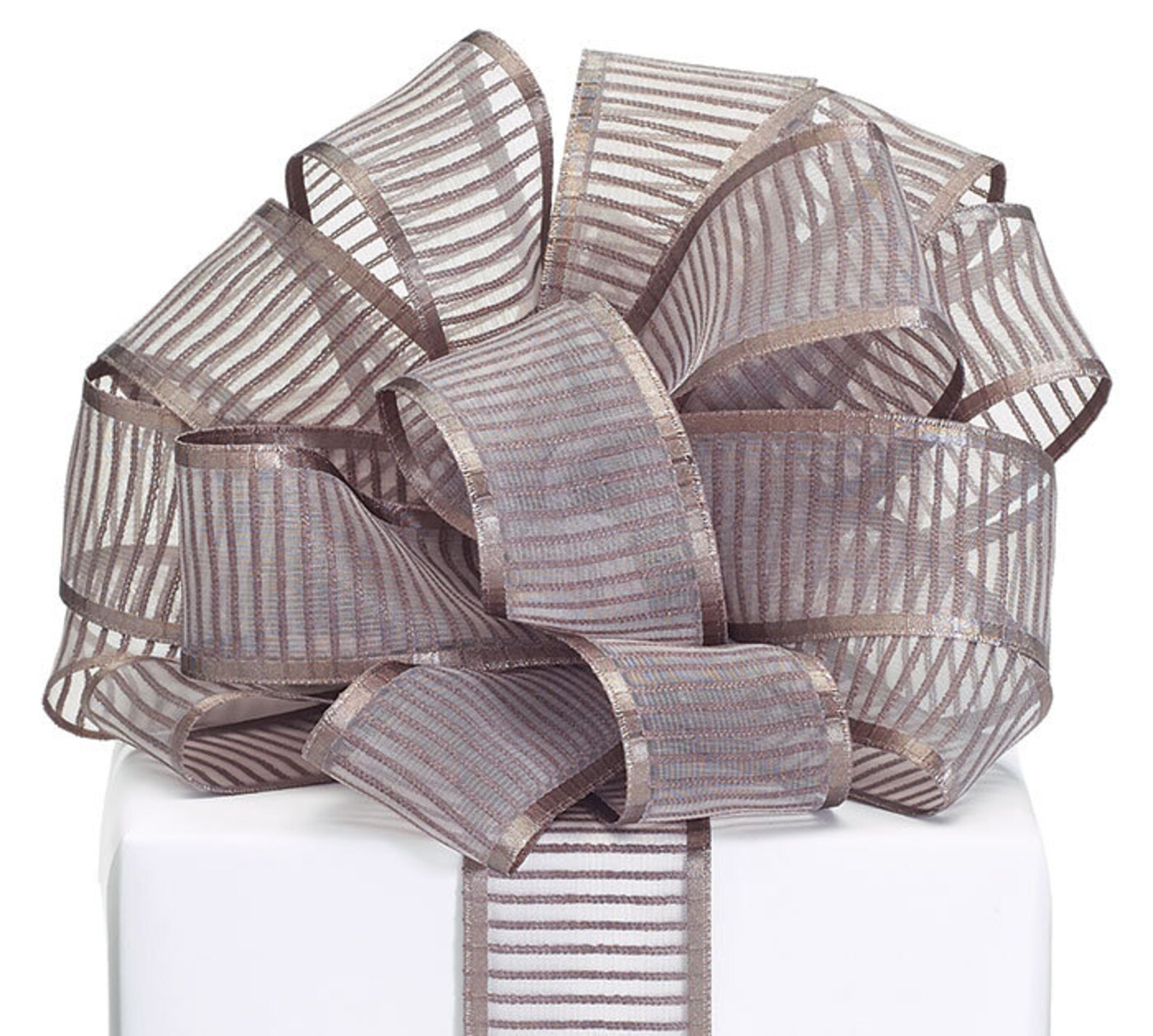 Sheer Ribbon, 5yards, PORTOBELLO 1.5 Wide - Etsy