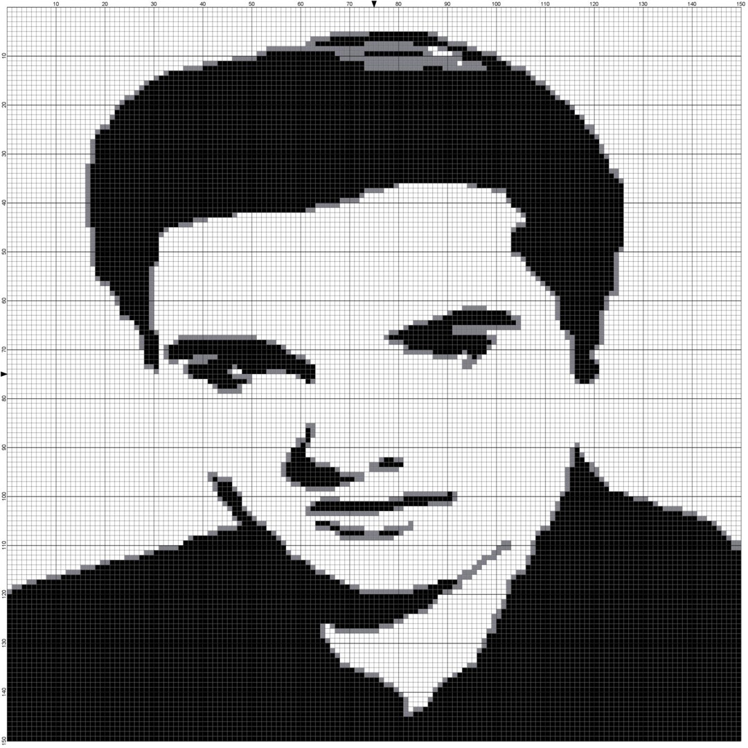 INSTANT DOWNLOAD Elvis Throw Afghan Crochet Pattern Graph - Etsy