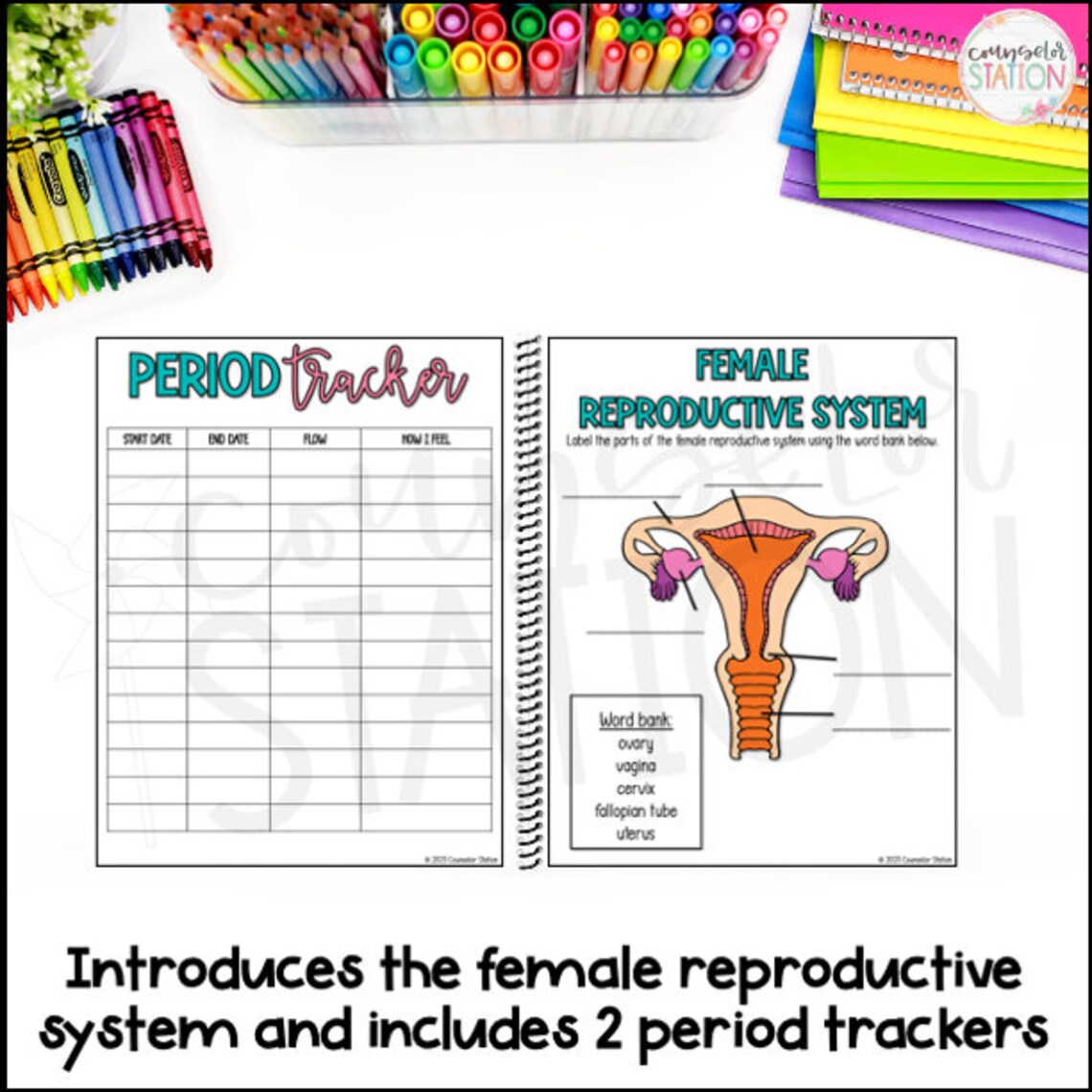Puberty and Personal Hygiene Workbook for 4th, 5th, 6th Grade Girls ...