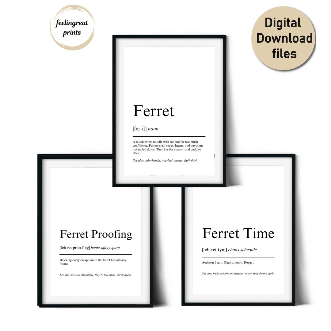 Ferret Definition Bundle – Funny Ferret Lover Gift Set for Exotic Pet ...
