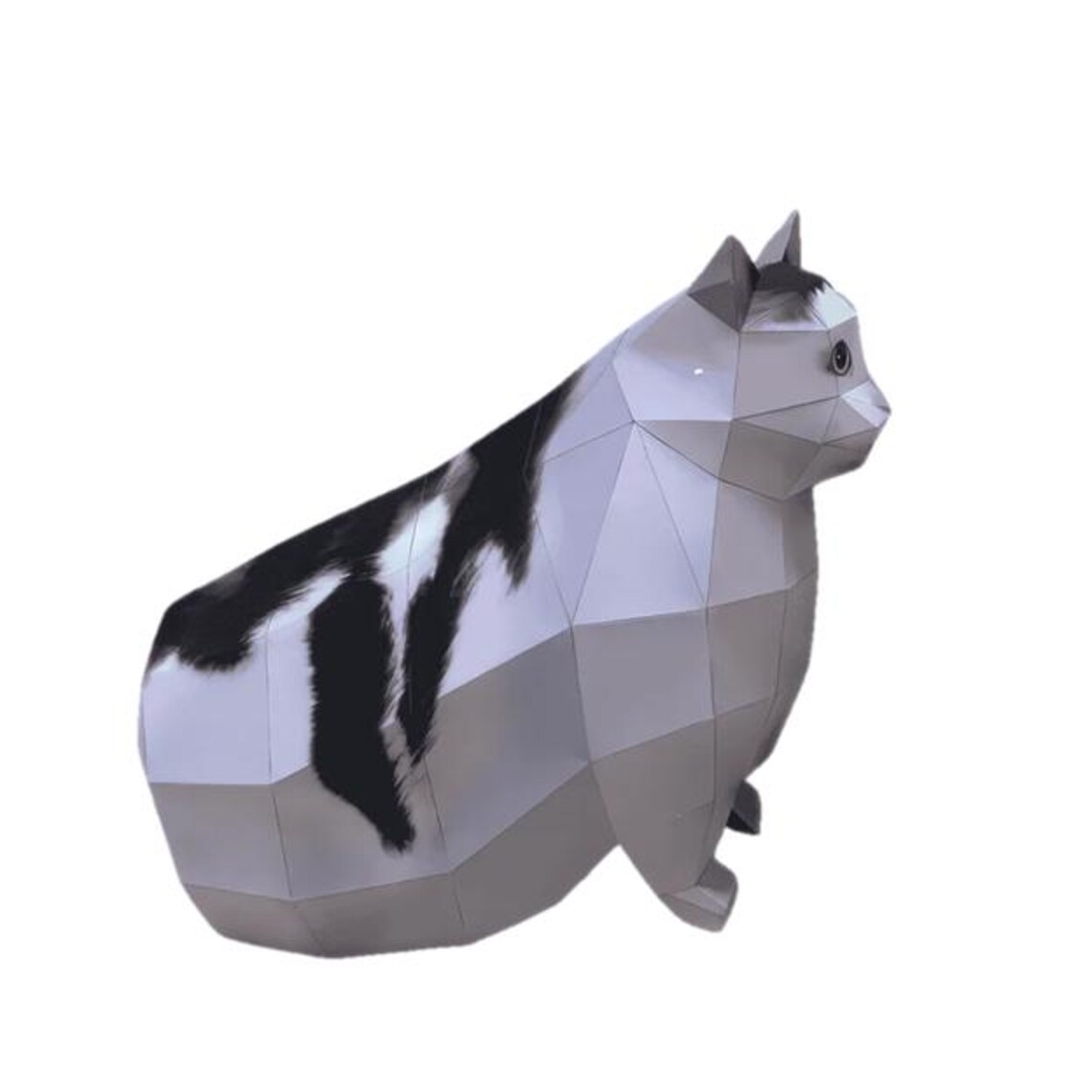 HUH? Cat Meme Paper Craft | Funny Cat Printable | DIY Meme Papercraft ...