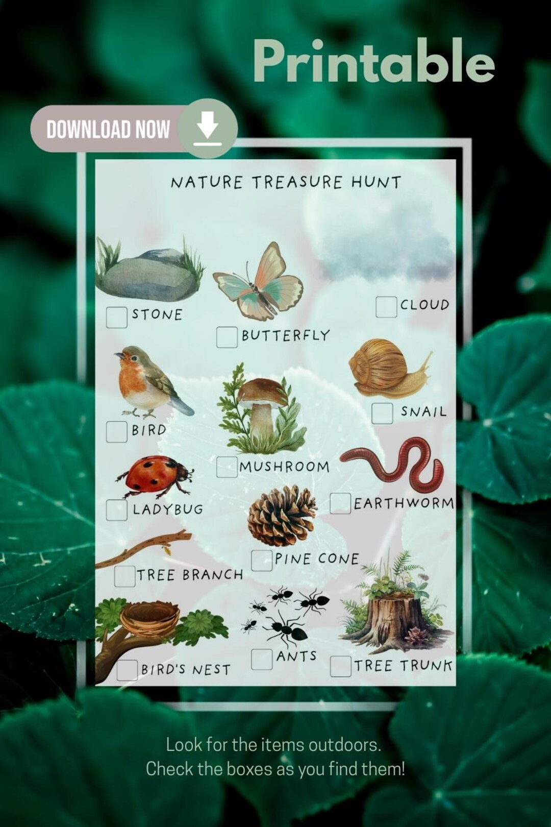 Printable Nature Treasure Hunt for Kids - Etsy