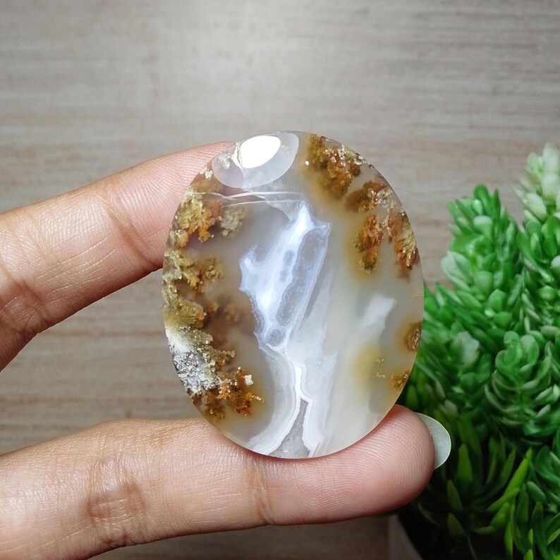 Scenic Moos Agate Flower ~ Petrified Wood ~ Cabochon ~ Size 42,7x39x5,2 ...