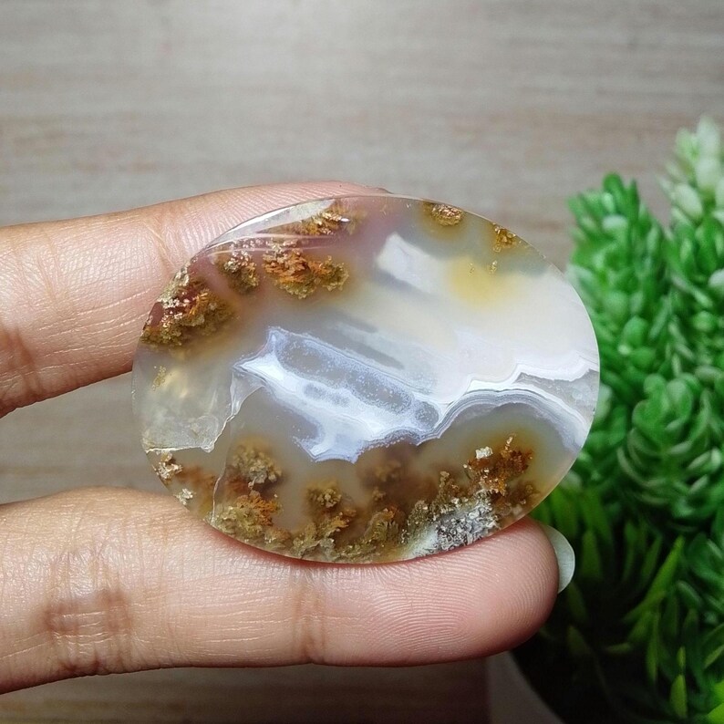 Scenic Moos Agate Flower ~ Petrified Wood ~ Cabochon ~ Size 42,7x39x5,2 ...