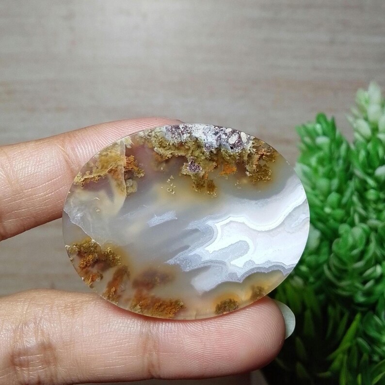 Scenic Moos Agate Flower ~ Petrified Wood ~ Cabochon ~ Size 42,7x39x5,2 ...