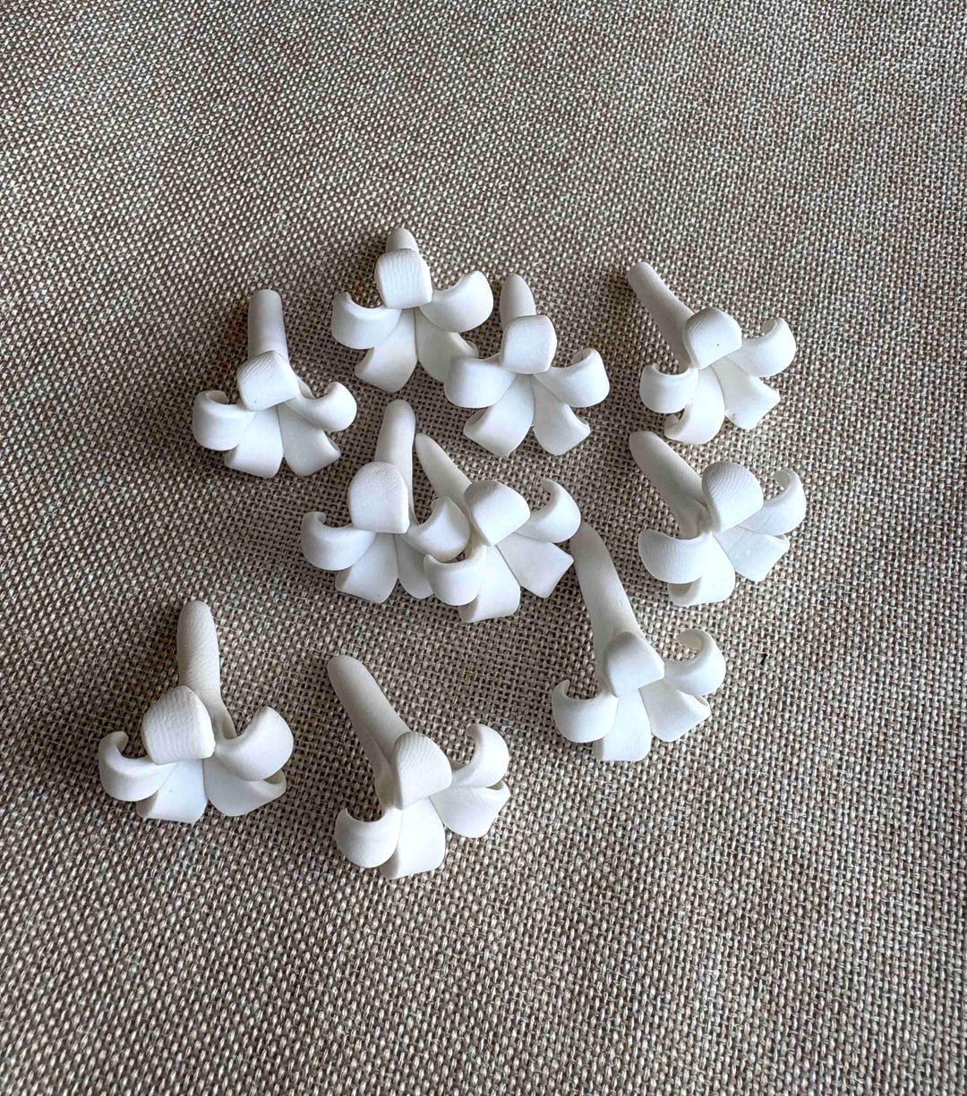 White Puakenikeni Flowers, the Bendi Keni, Drop-proof, Waterproof ...