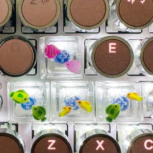 Aquarium WASD Keycaps, Transparent Keycap Set, Fish Keycaps, Custom ...