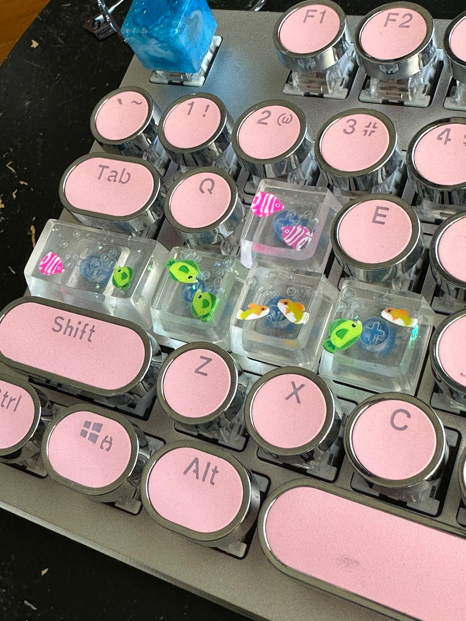 Aquarium WASD Keycaps Transparent Keycap Set Fish Keycaps - Etsy