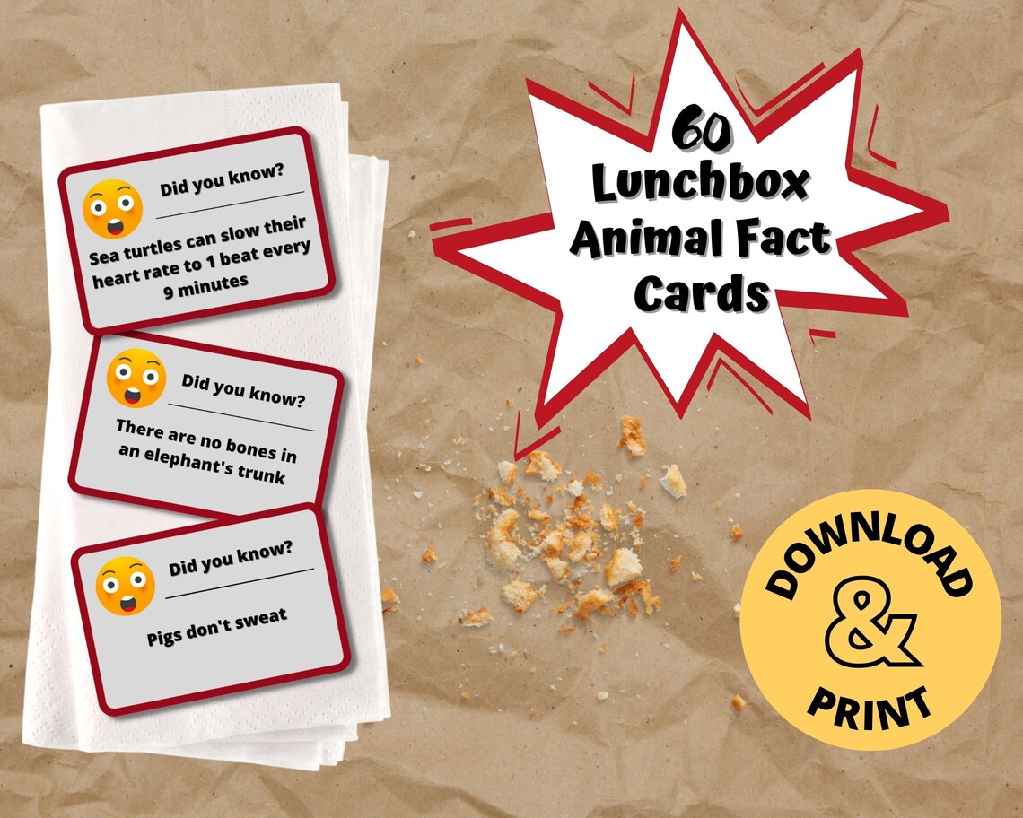 Animal Fact Cards for Kids Lunch Box - Printable. - Etsy