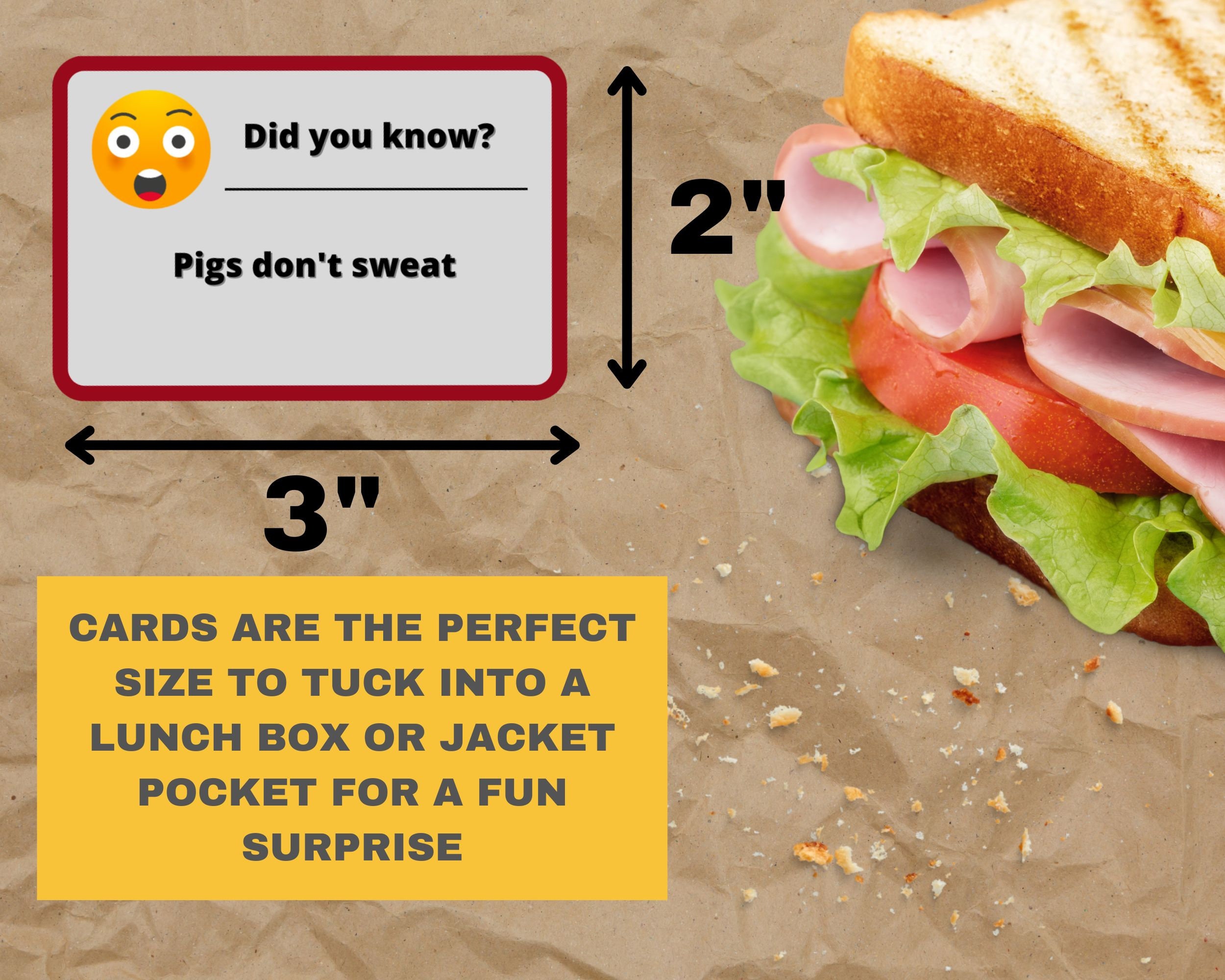 Animal Fact Cards for Kids Lunch Box - Printable. - Etsy