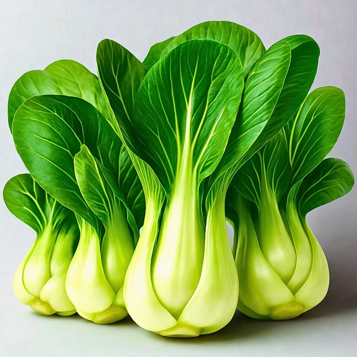 1200 Pak Choi Bok Choy Seeds | Asian Vegetable Seeds | Fast Growing ...