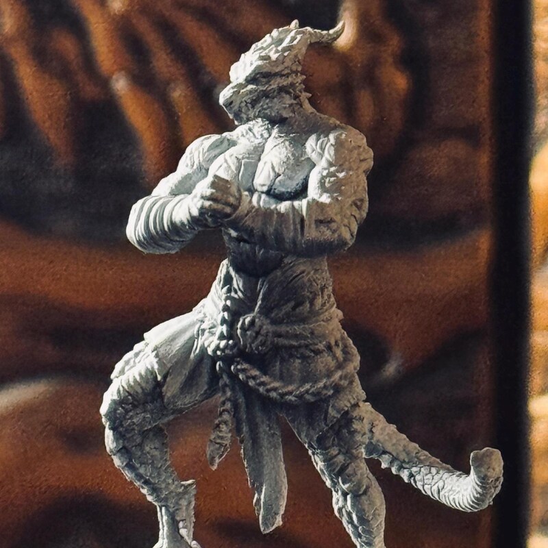 Monk Lizard - Etsy UK