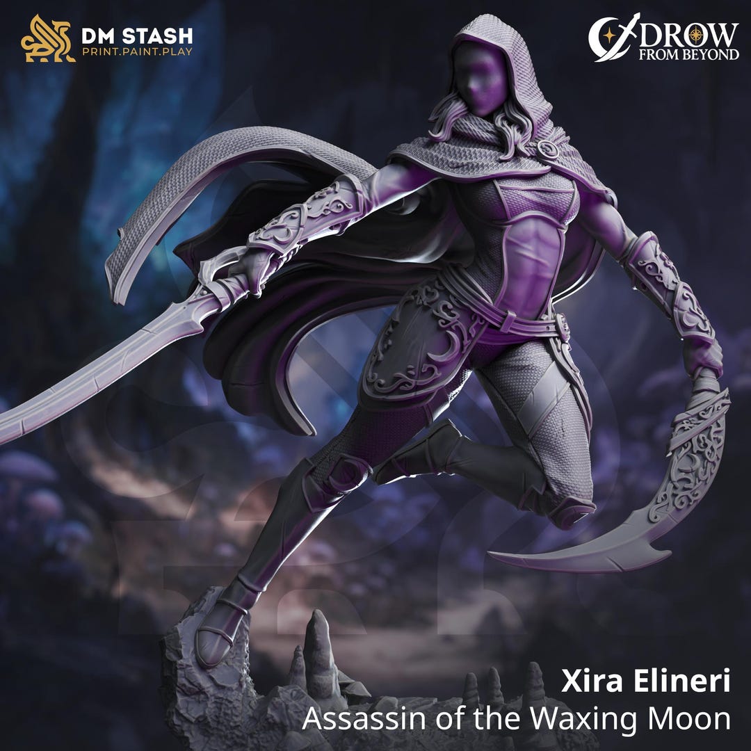 Xira Elineri | Ranger | Rogue | Drow | Elf | Dnd TTRPG Model | DM Stash ...