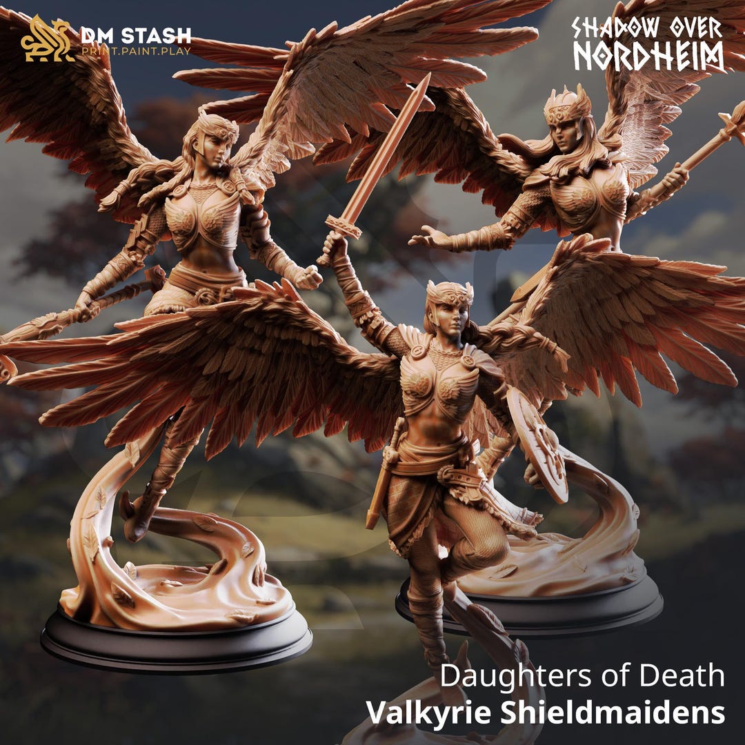 Valkyrie Shield-maiden Miniature: Paladin Aasimar Fighter Resin Print ...
