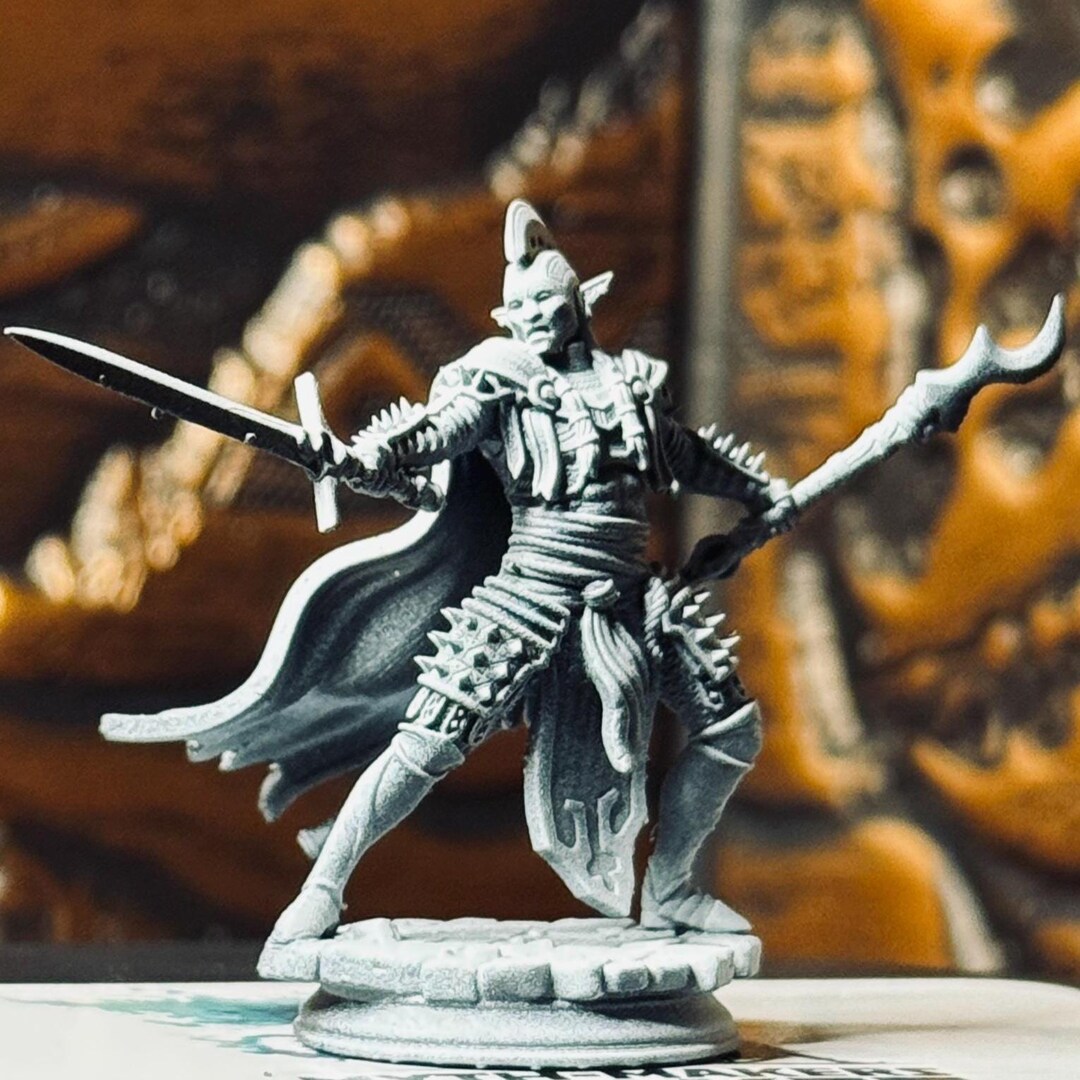 Elf Paladin Miniature: the Ordained - DM Stash - 32mm/75mm Scale - Etsy
