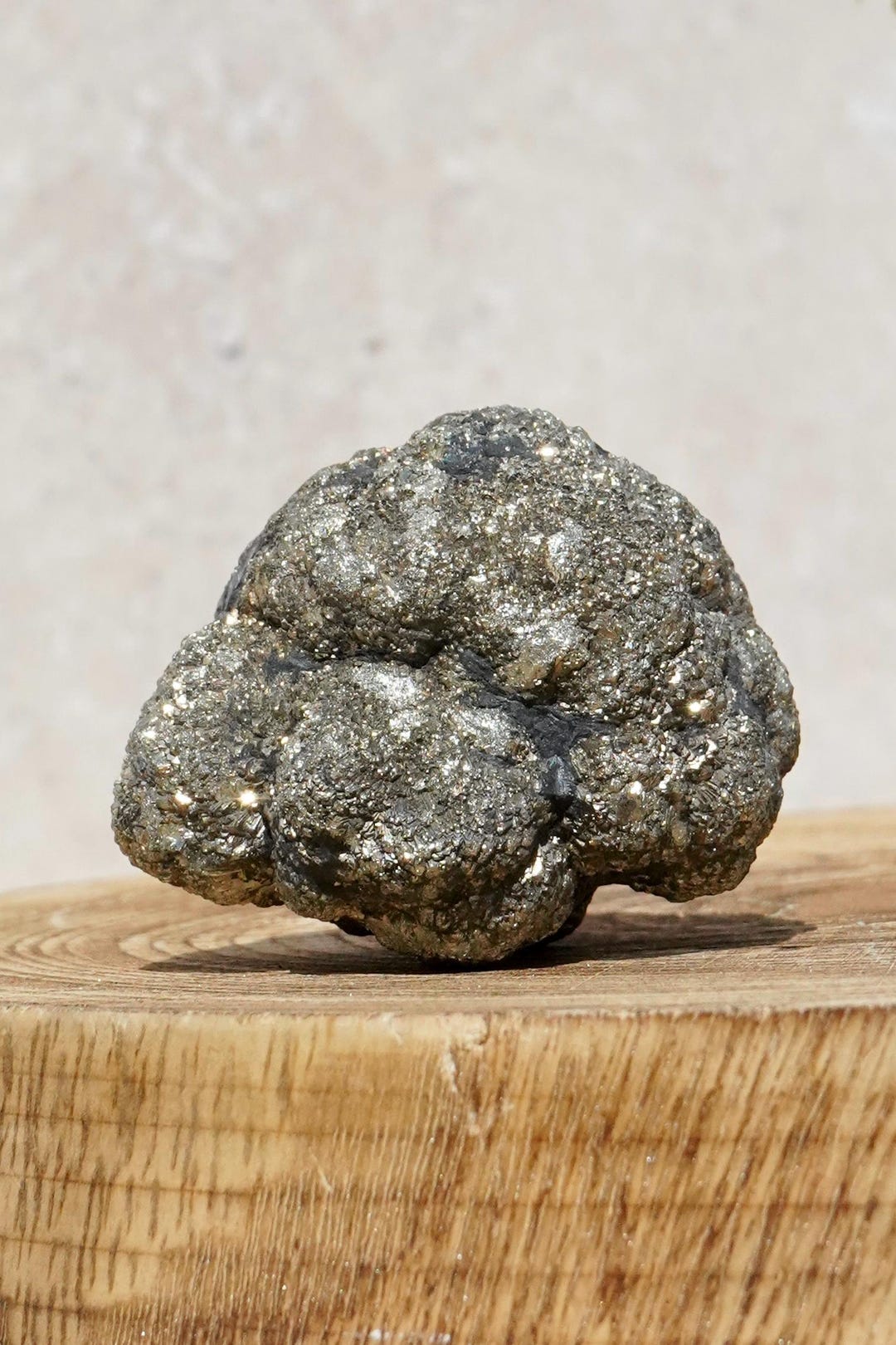 Pyrite After Marcasite Flower AKA Golden Prophecy Stone - Etsy