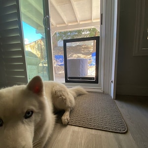 The BEST Pet Door EVER! for Dogs and Cats. Grab a Pawkit® for Your Pet ...