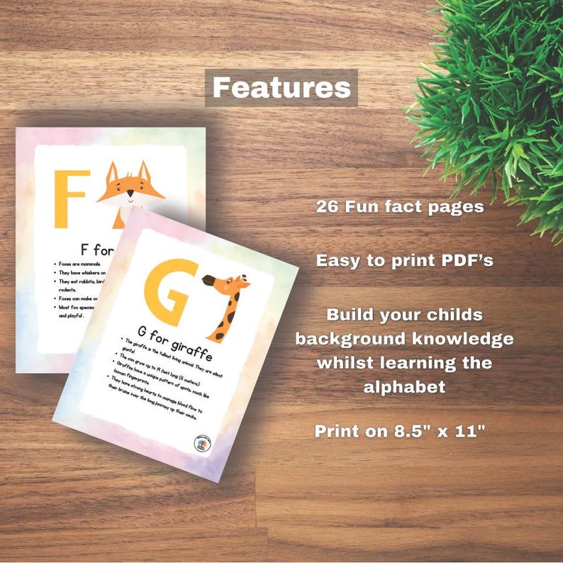 ABC Alphabet Flashcards, Vocabulary Flashcards, Animal Fact Sheet ...