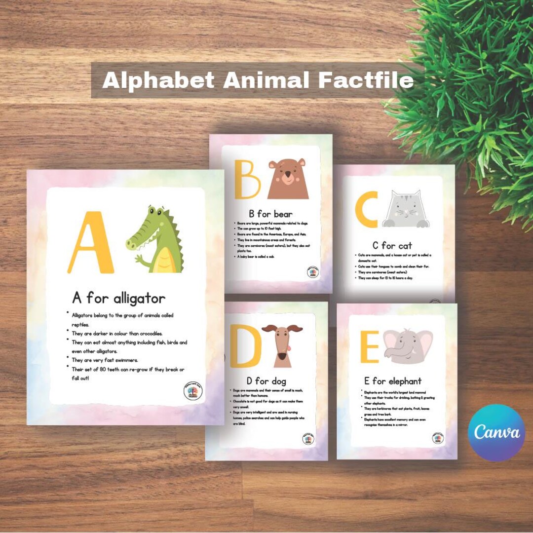 ABC Alphabet Flashcards, Vocabulary Flashcards, Animal Fact Sheet ...