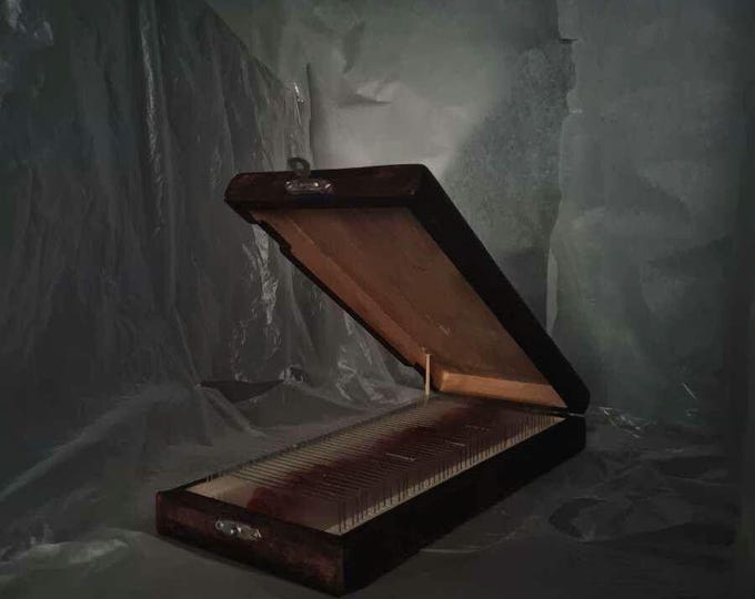 Dexter Blood Slides - Etsy UK