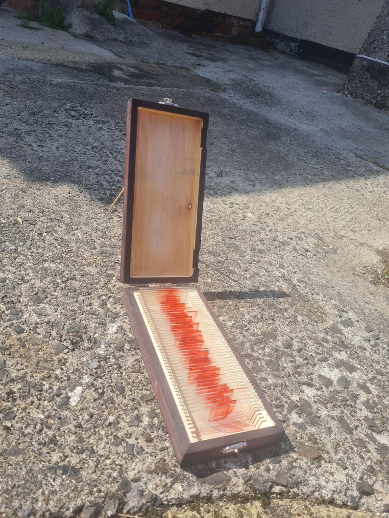 Dexter Blood Slides - Etsy UK