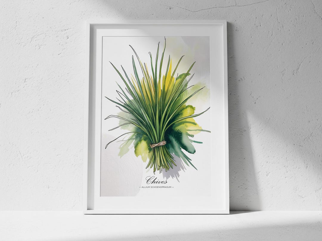 Chives Watercolor Art Print: Botanical Kitchen Decor (digital Download ...