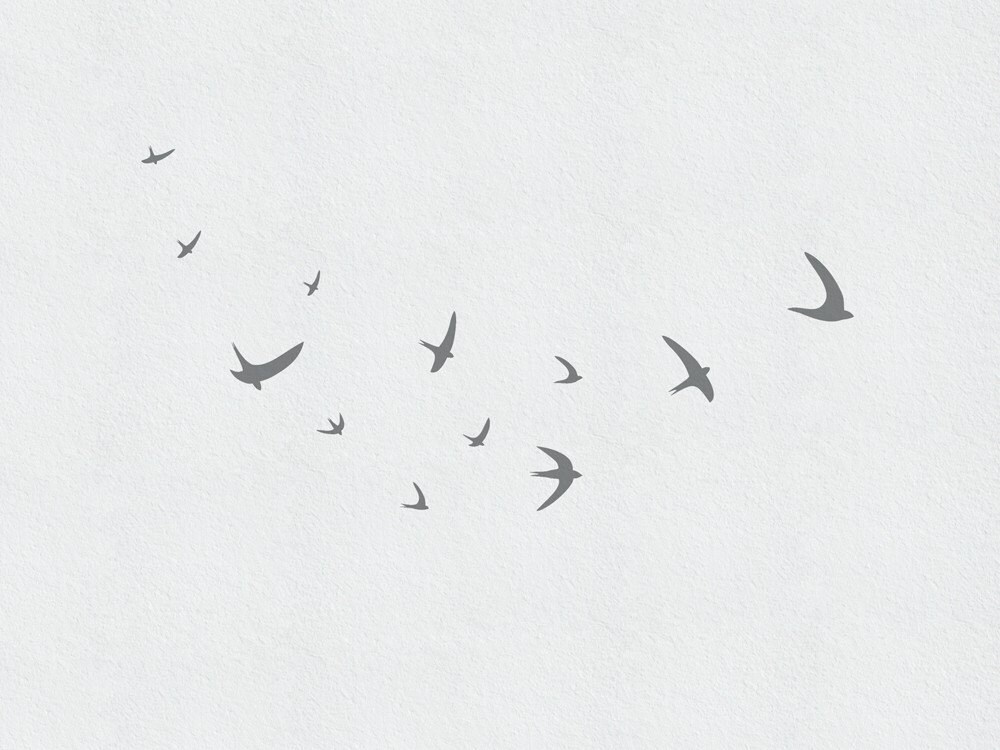 Flying Birds Silhouette Tumblr
