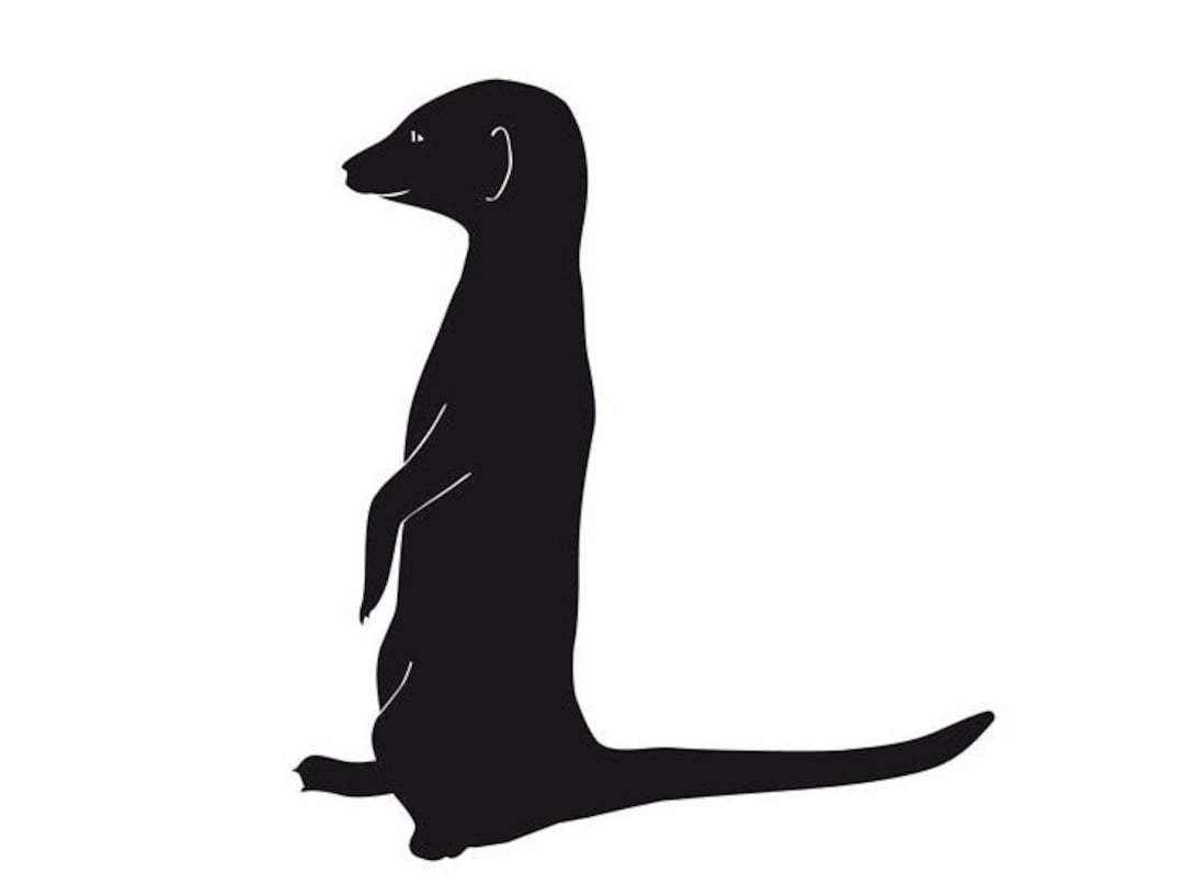 Meerkat Wall Decal - Etsy