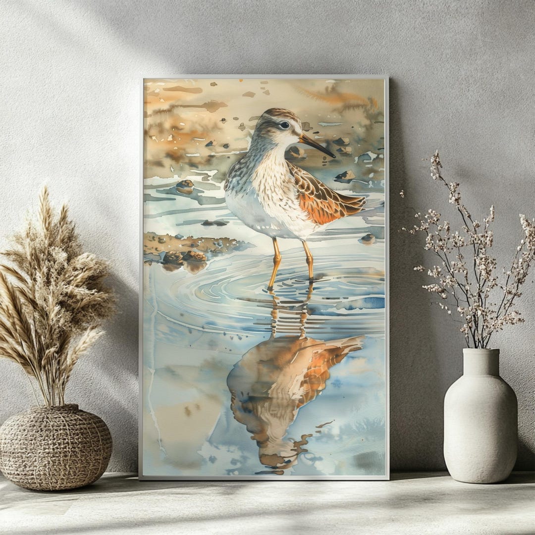 SANDPIPER Wall Art – Watercolor Shorebird Poster, Coastal Wildlife ...