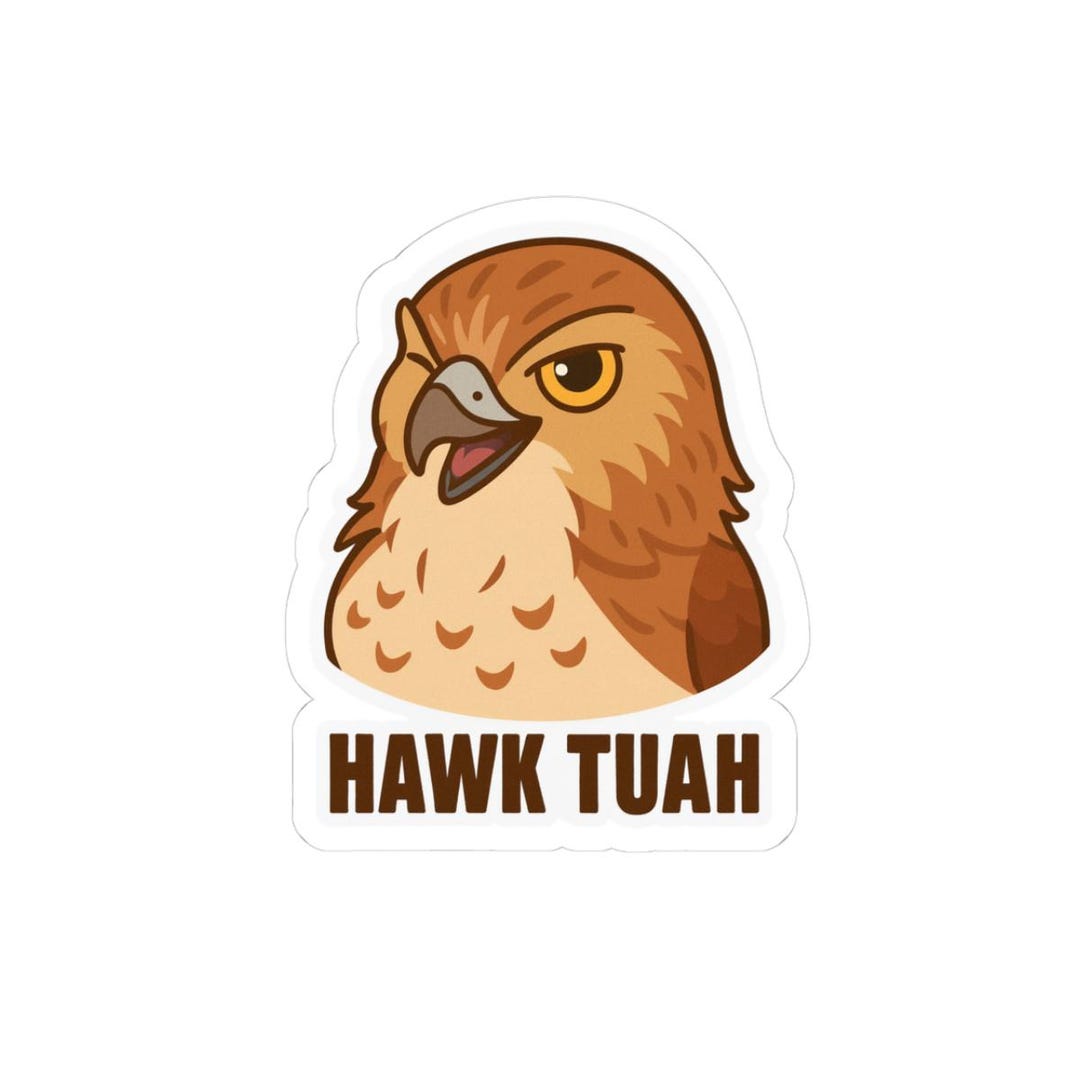 Hawk Tuah Meme Sticker: Waterproof Vinyl Laptop Decal - Etsy