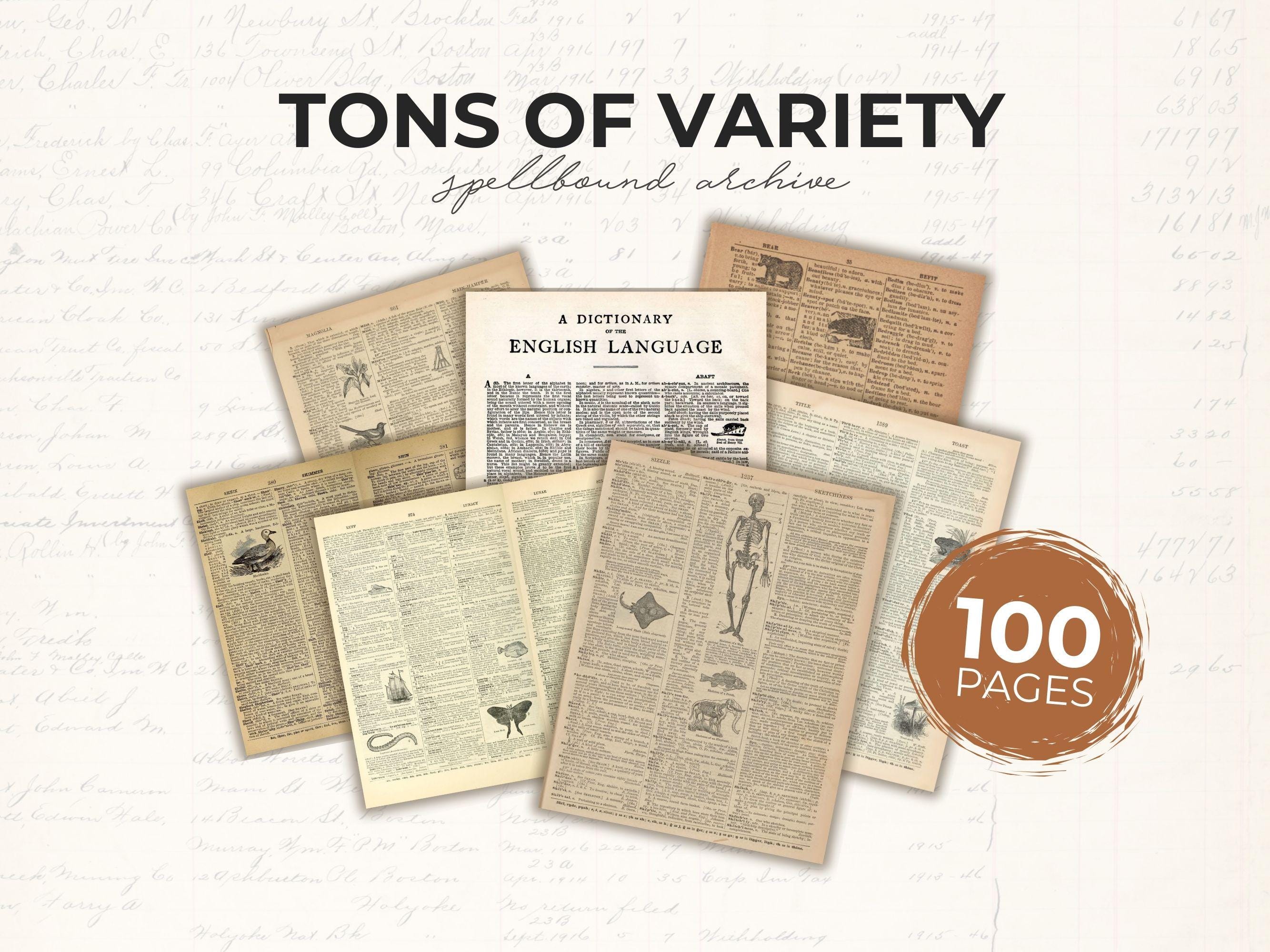 100 Vintage Dictionary Pages | Printable Ephemera for Junk Journals ...