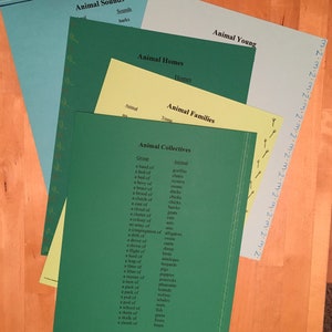 Montessori Word Study Charts, Laminated - Etsy