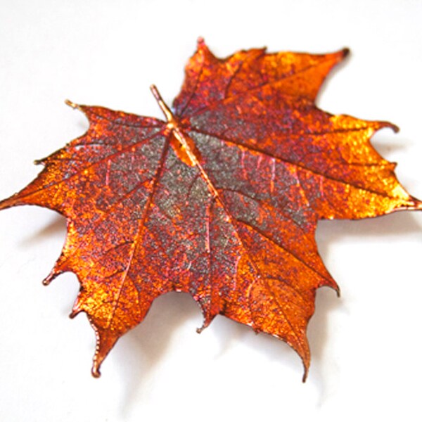 Real Maple Leaf - Etsy